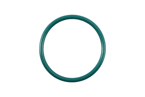 BTS-1198784 Injector O-Ring for Caterpillar - Bear the Sealer